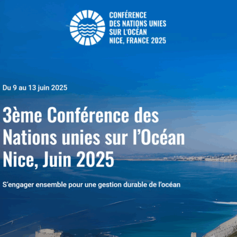 🌊 UNOC 2025 à Nice : un rendez-vous décisif pour l’avenir de nos océans ...